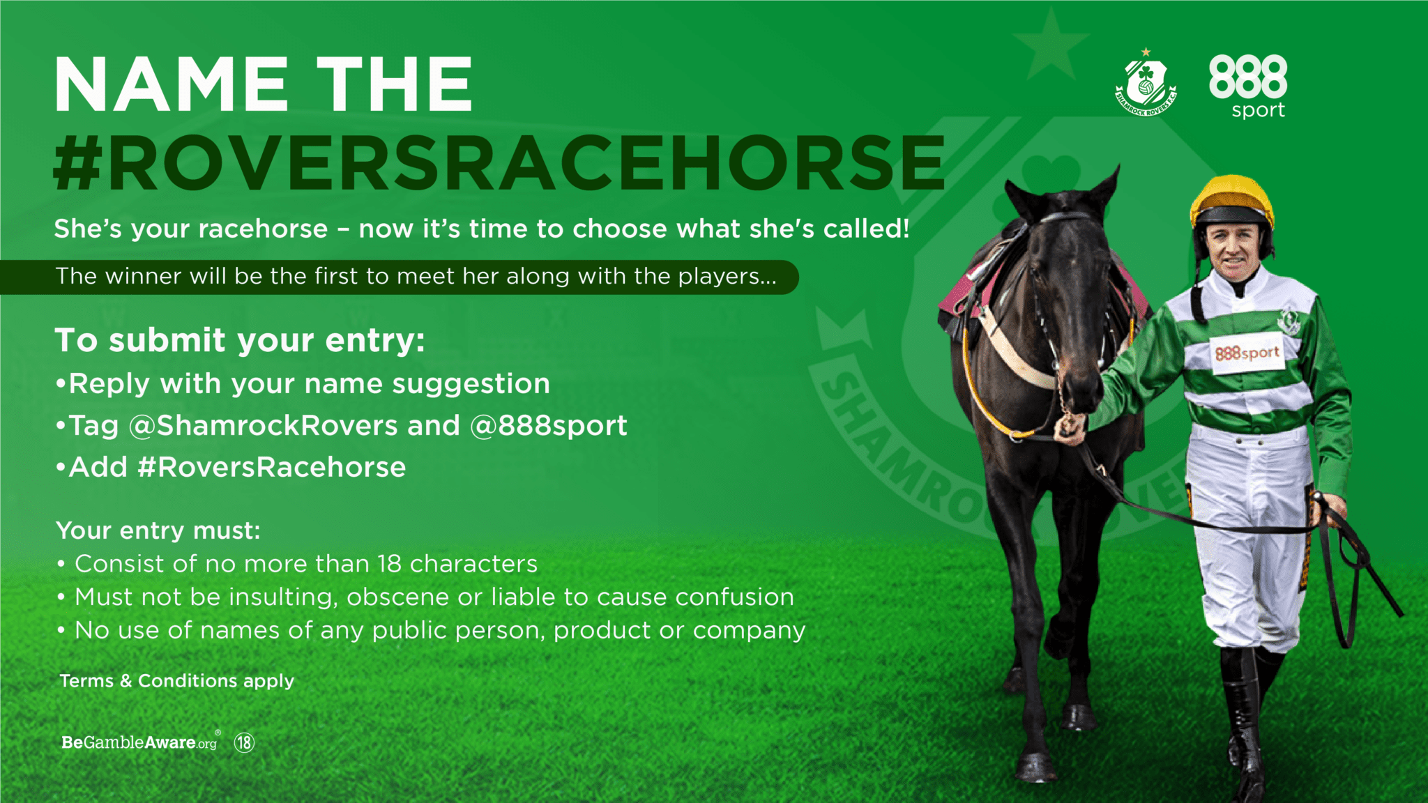 Shamrock Rovers sign a racehorse owned by the fans 16 December 2021